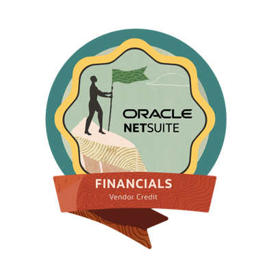 NetSuite Administrator [TEST] | Learn Oracle for Free | NetSuite LCS ...
